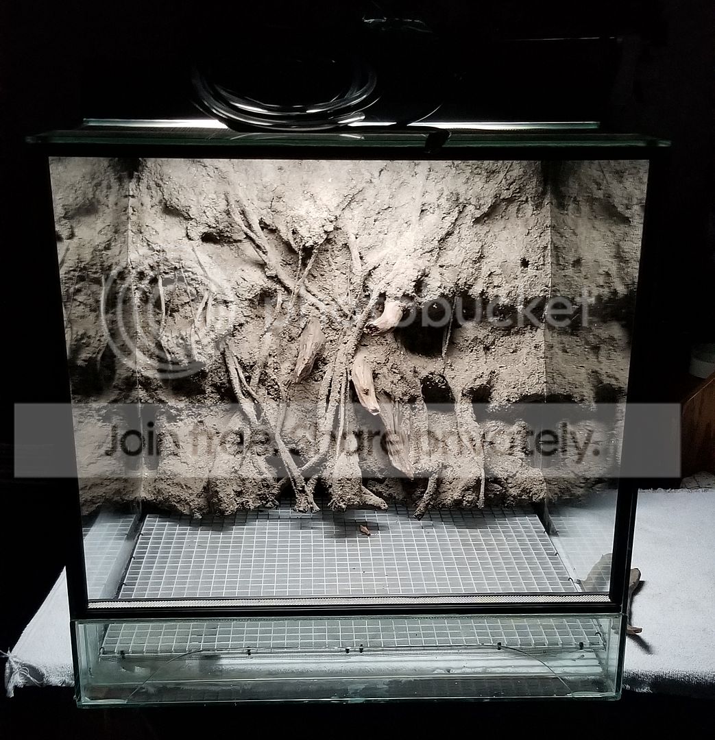 First Vivarium Build...Design layout critiques welcome | Dendroboard