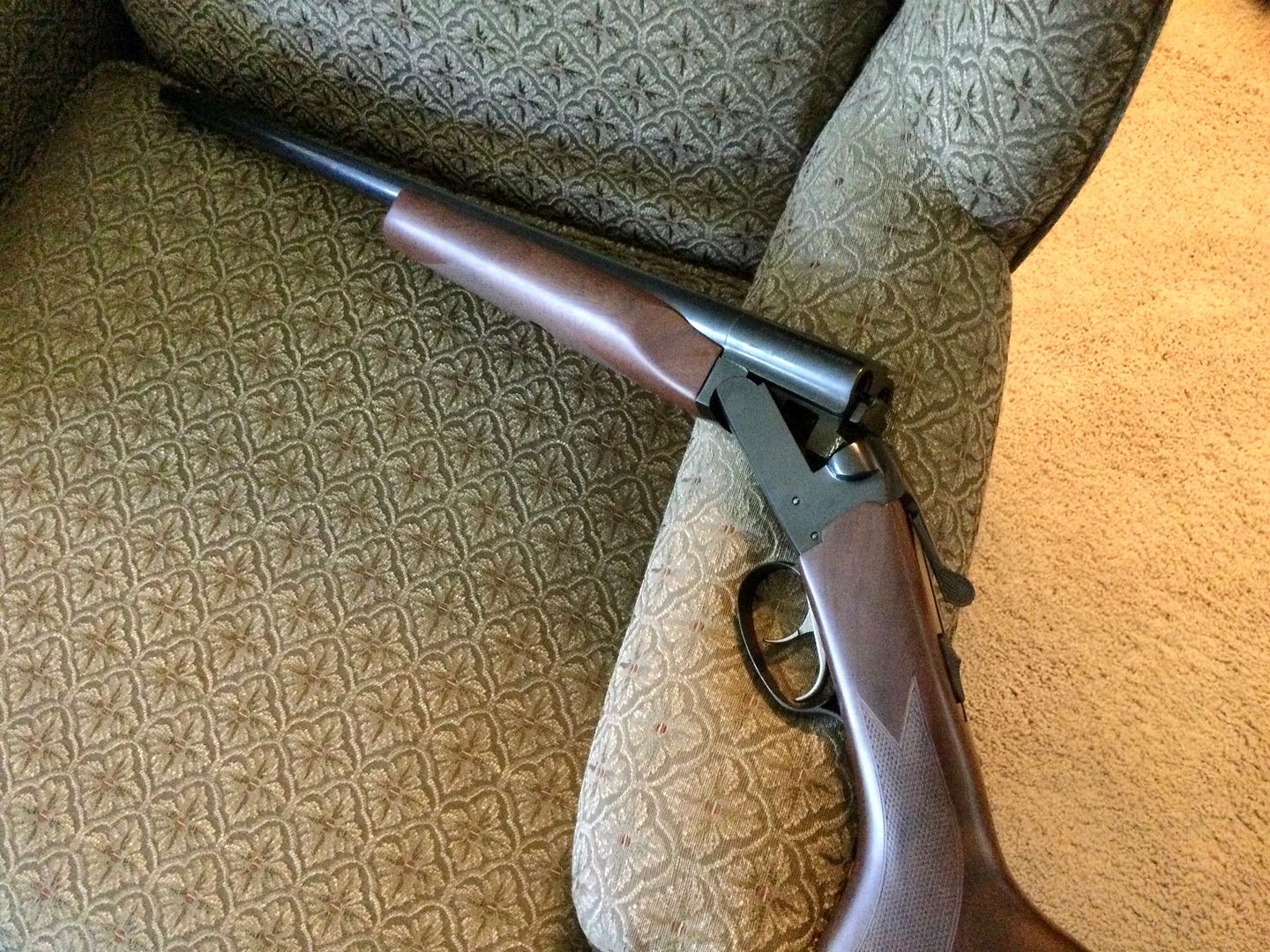 Coach guns | Colt Forum