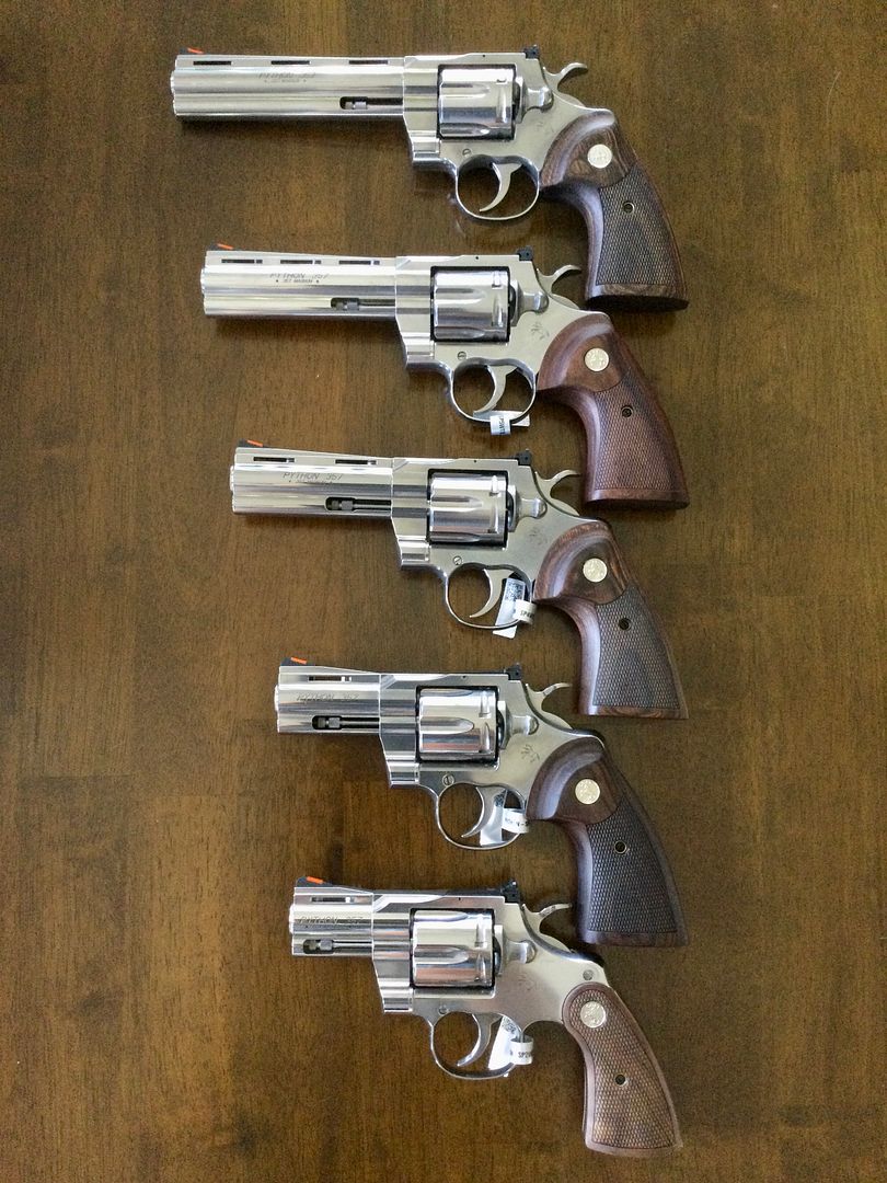 2024 Polished Blue Python side by side with 1984 Royal Blue Python ...