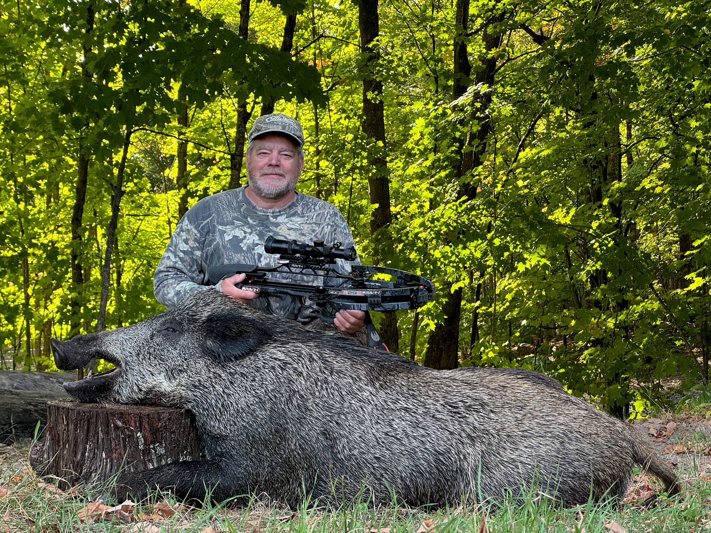 Wilderness Hunts 2025 - Wilderness Boar Hunting Adventures in the USA