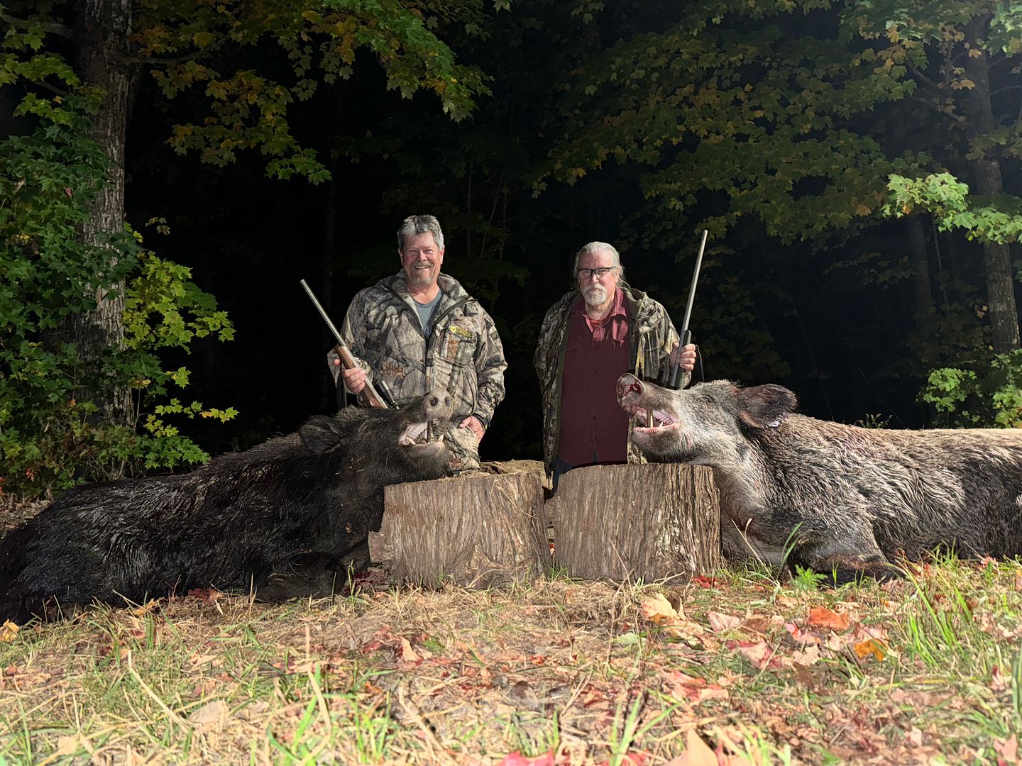 Wilderness Hunts 2025 - Wilderness Boar Hunting Adventures in the USA