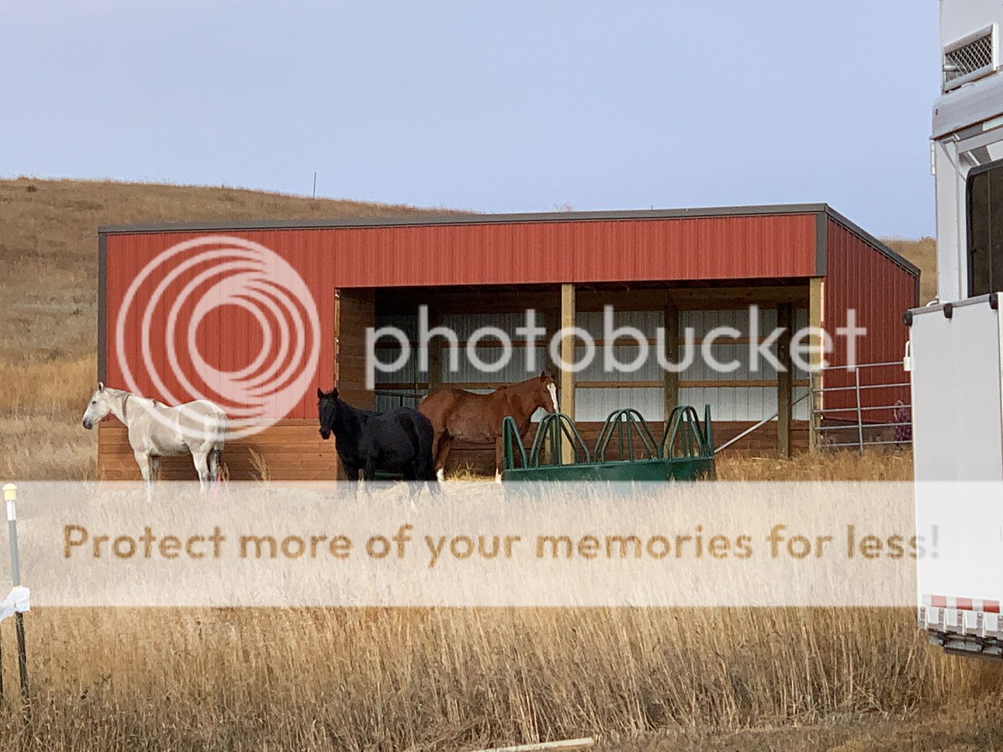 Show us your... Horse set-up | The Horse Forum