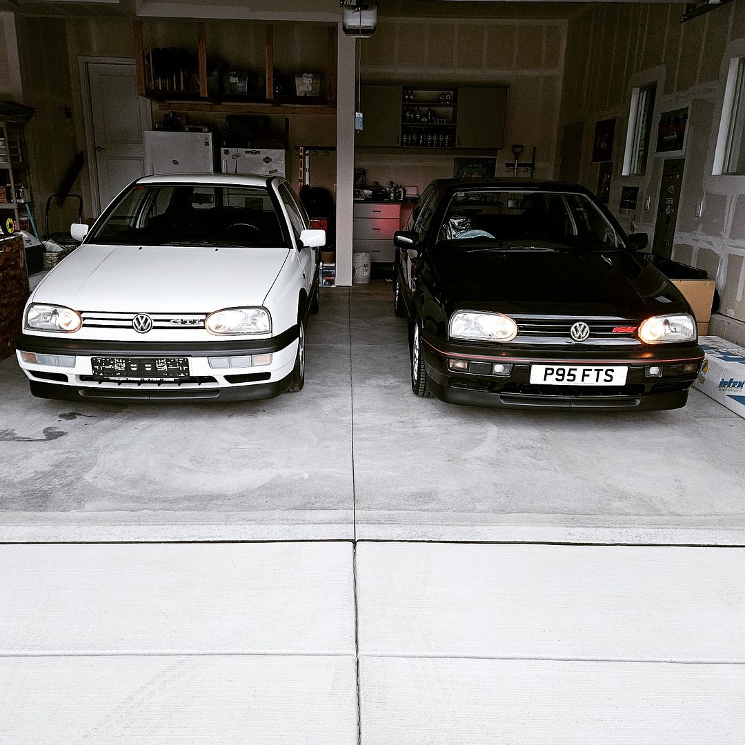 New WRD Chevlons | VW Vortex - Volkswagen Forum