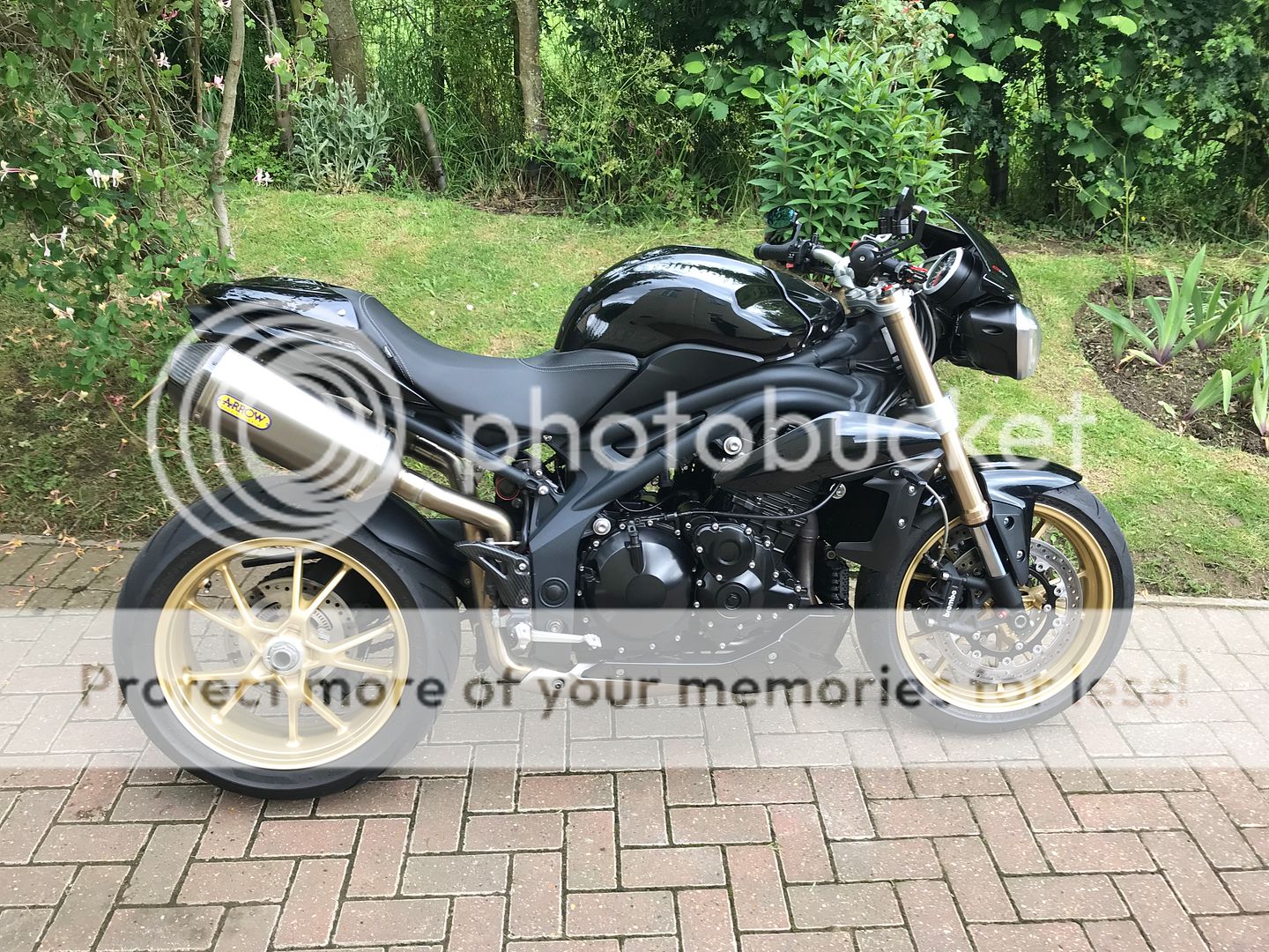 New Ride | The Triumph Forum