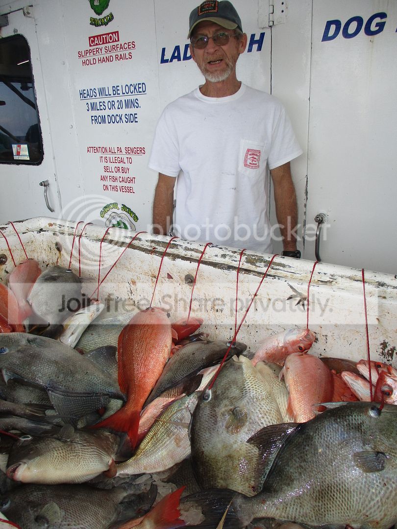 Huge Triggerfish catch | Bloodydecks