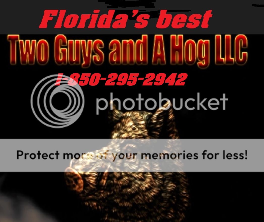 HOG DOWN AND OUT | Bloodydecks