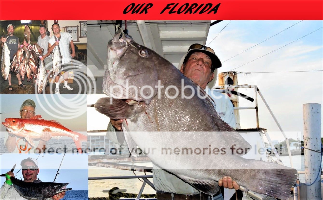 Fantastic Florida inshore fishing in pictures | Bloodydecks