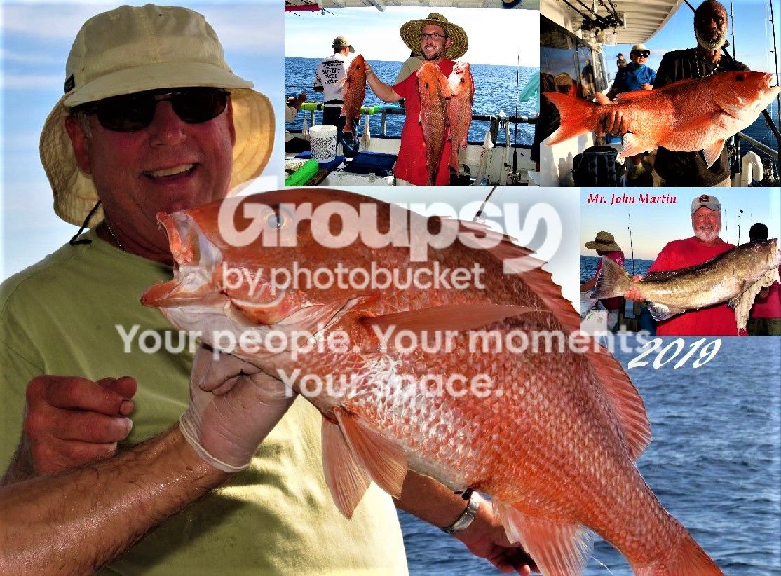 American Red Snapper & Gag Grouper season opens | Bloodydecks
