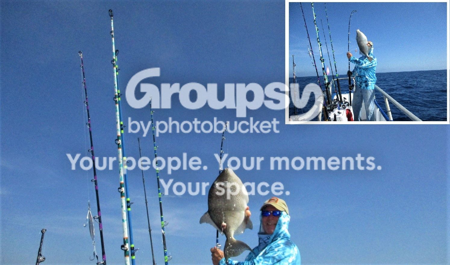 Huge Triggerfish catch | Bloodydecks