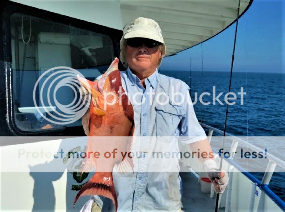 Hogfish with Capt. Frank | Bloodydecks
