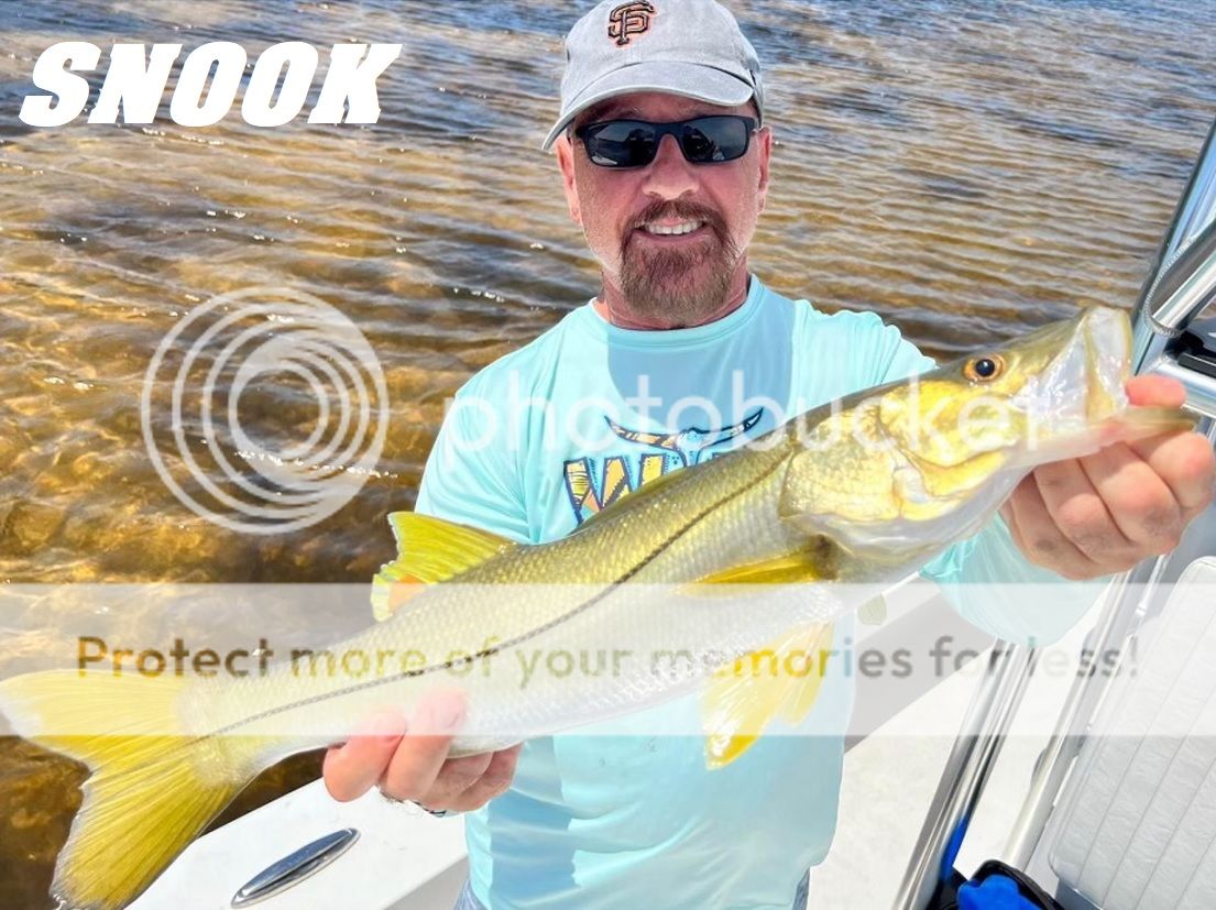 From inshore to 100 pound Wahoo | Bloodydecks