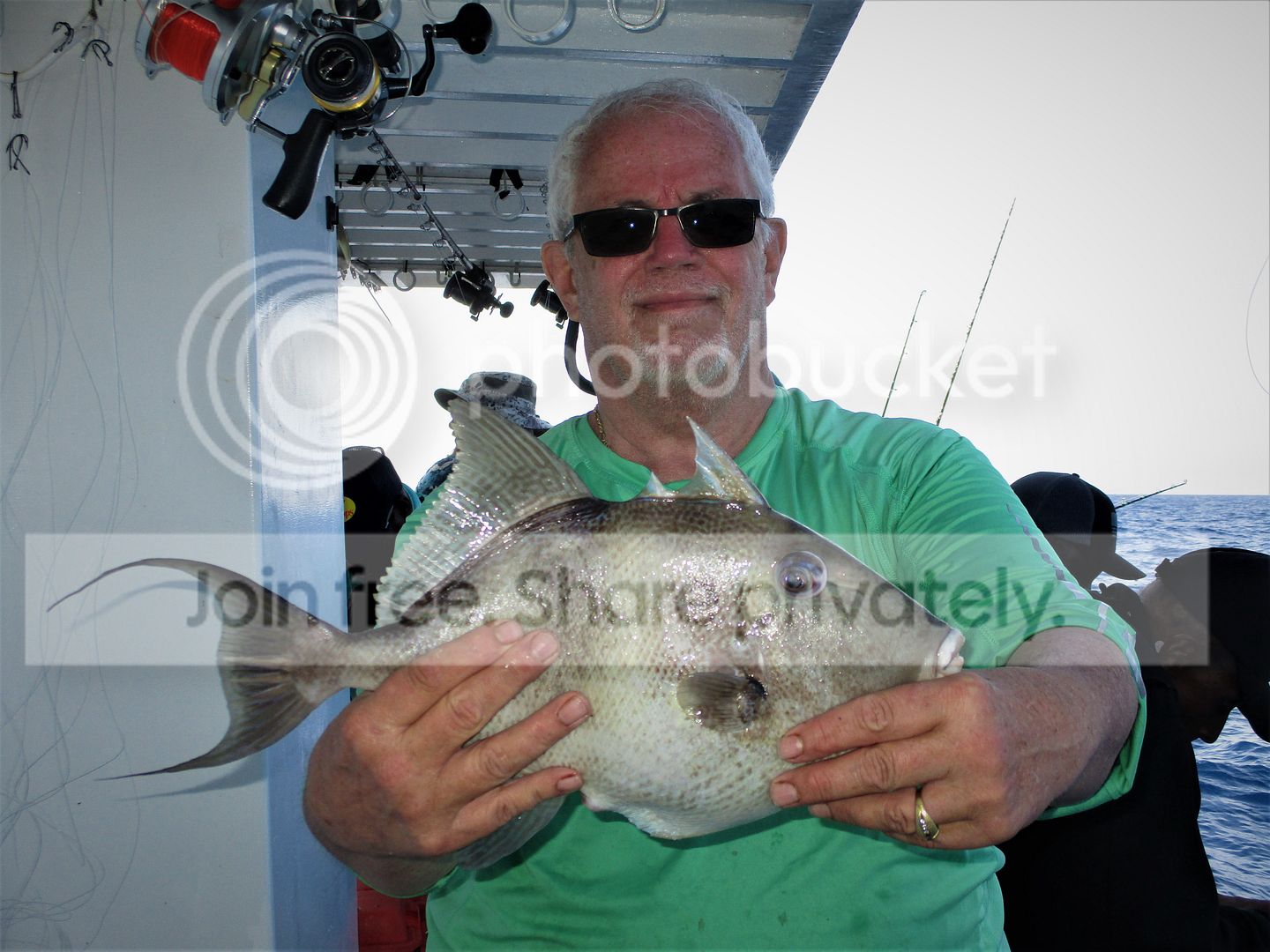 Huge Triggerfish catch | Bloodydecks
