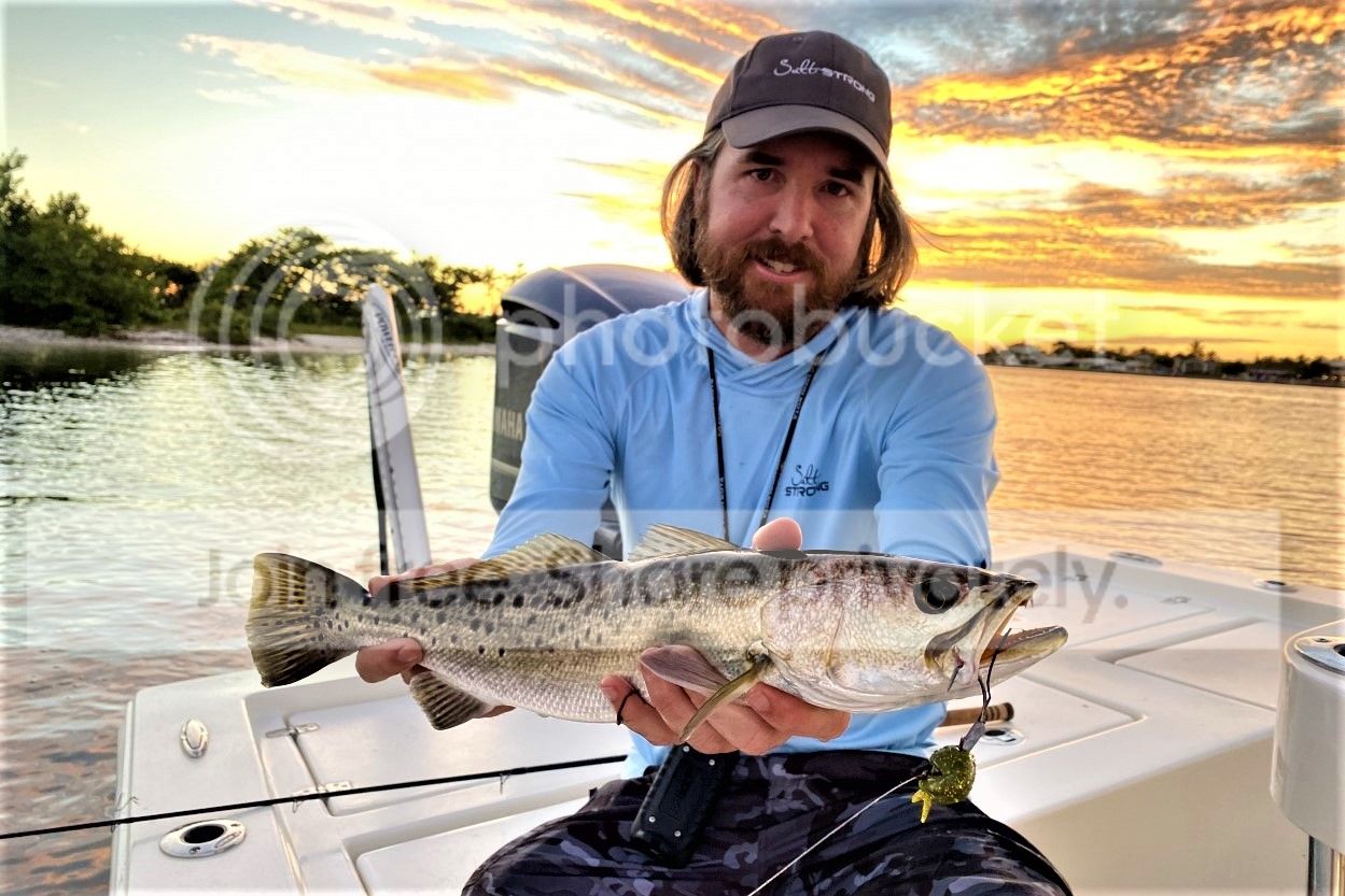 Inshore Florida fish fun to catch great to eat | Bloodydecks