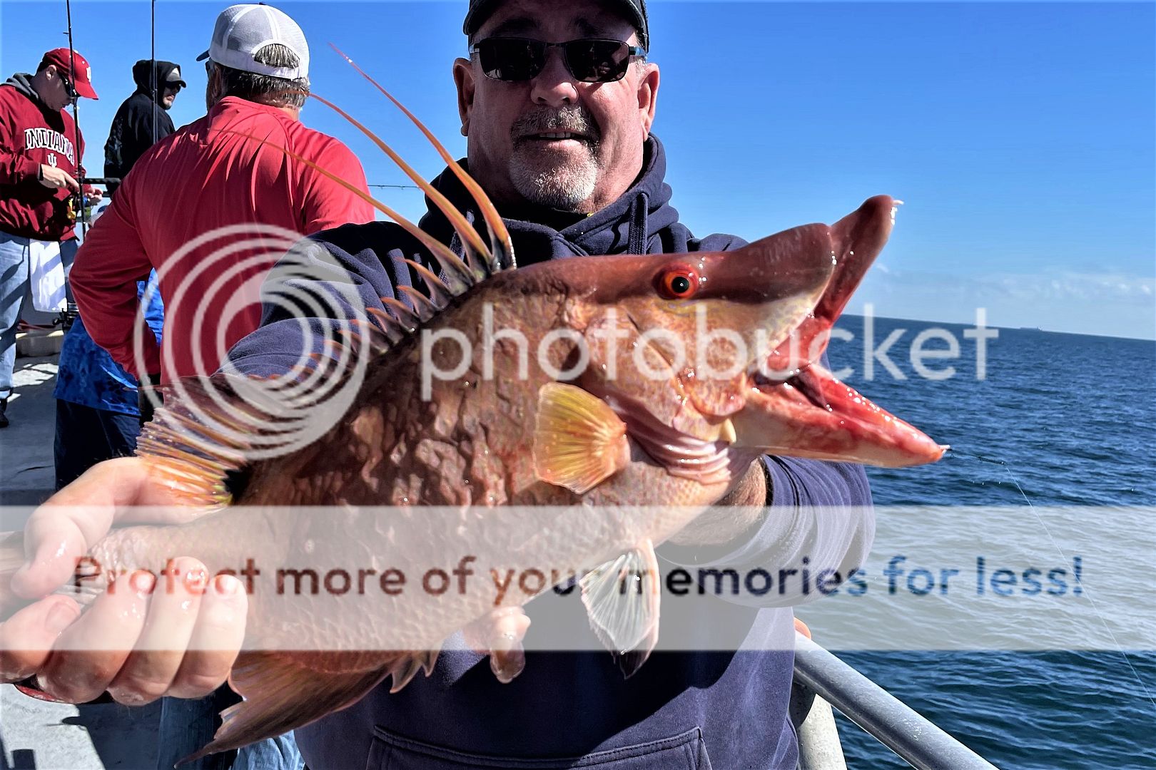 Huge Hogfish catch with on the water pictures | Bloodydecks