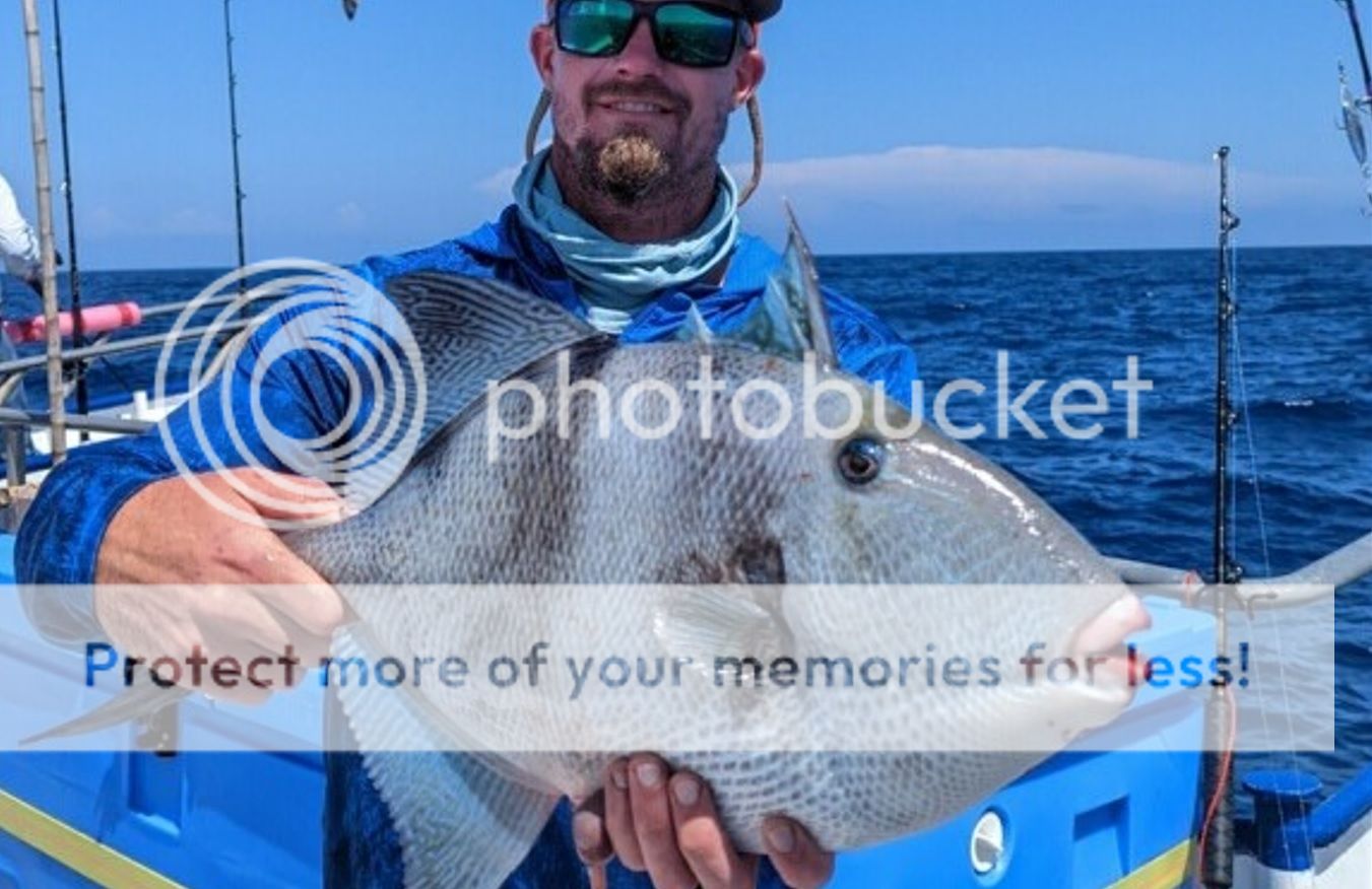 Huge Triggerfish catch | Bloodydecks
