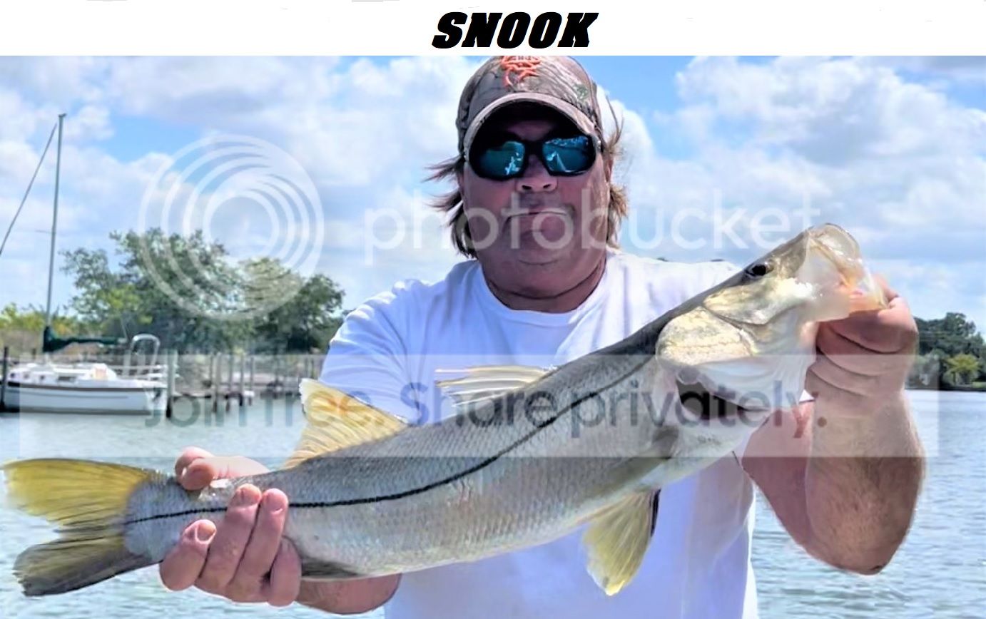 Late May Central Florida Inshore Grand-Slam | Bloodydecks