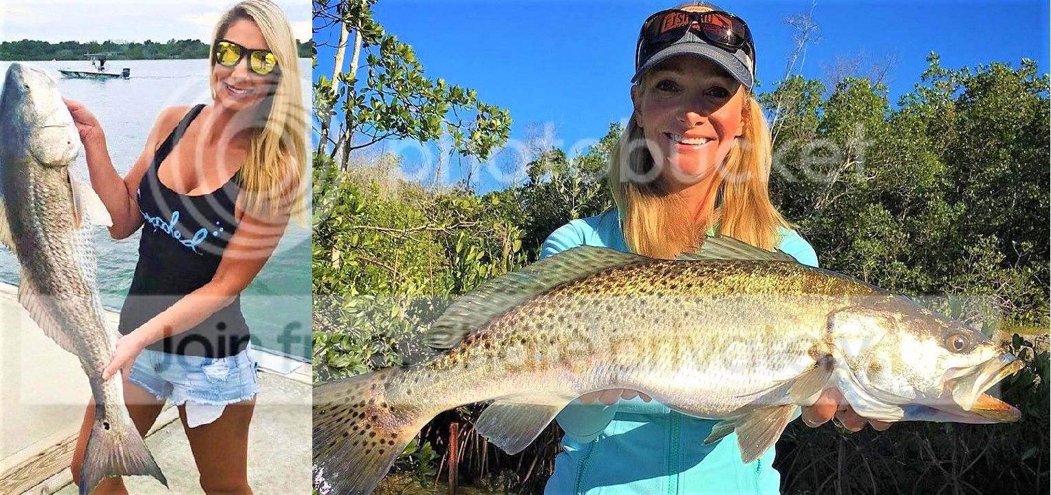 Inshore Florida fish fun to catch great to eat | Bloodydecks