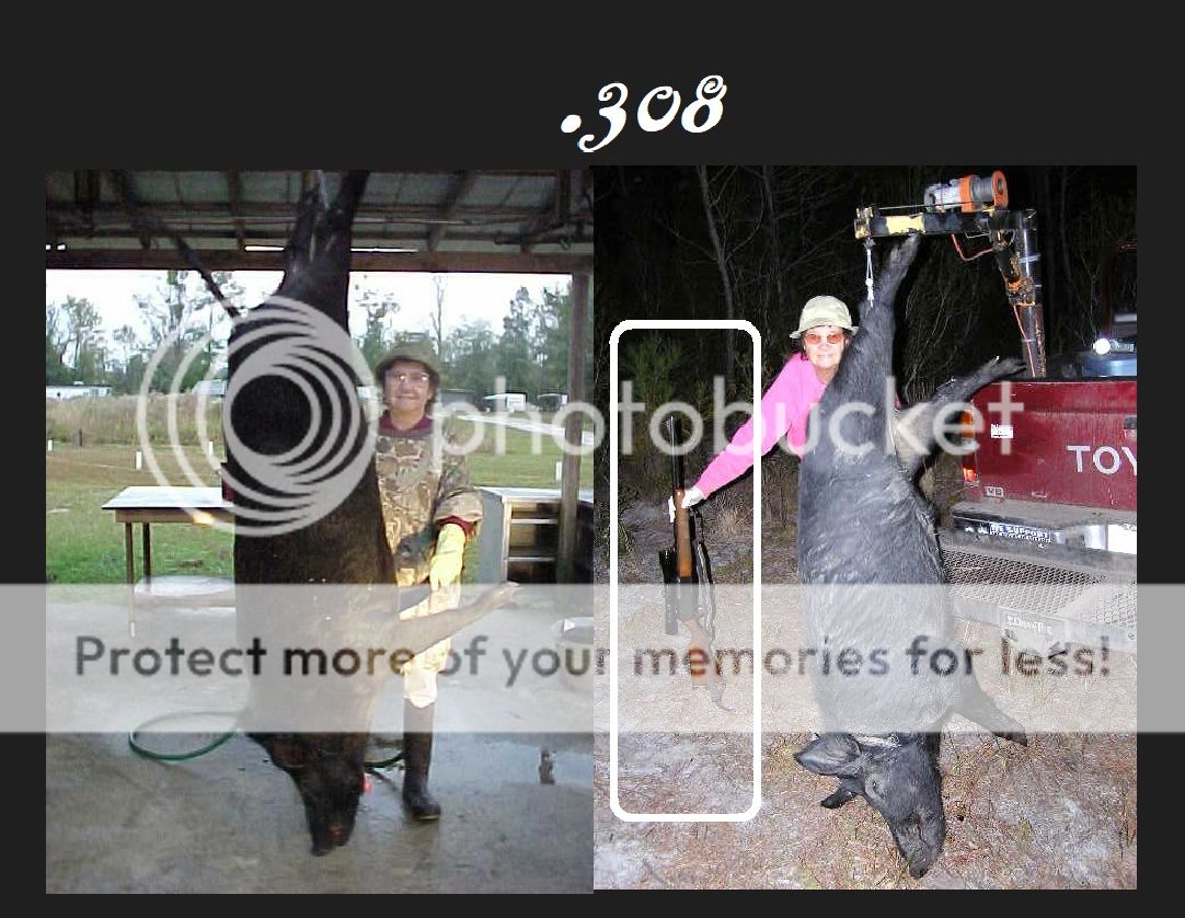 .308 rifle | Bloodydecks