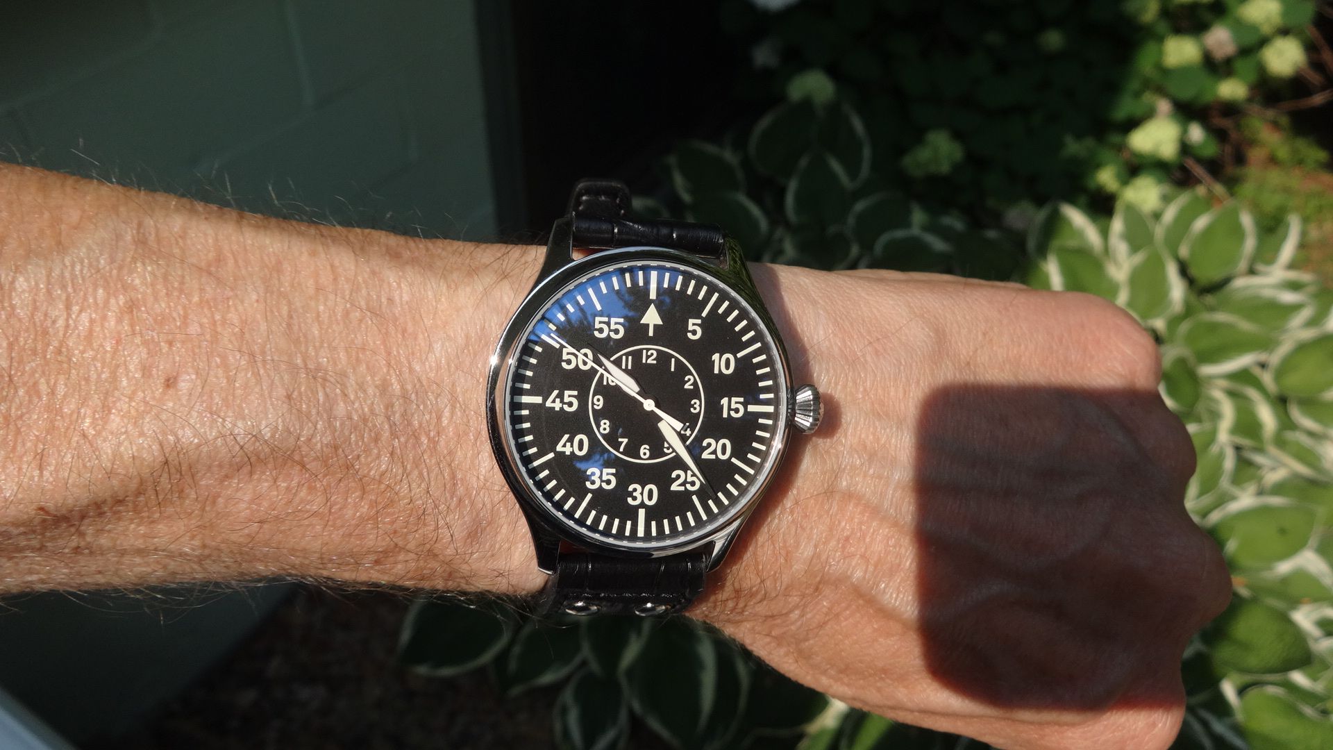 Show me your watches with Seiko VH31 movements | WatchUSeek Watch Forums